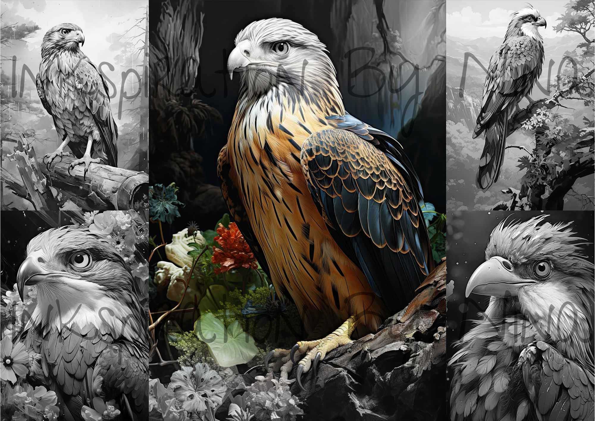 Falcon Ink Painting Coloring Pages, 20 Premium Adult Coloring Sheets ...