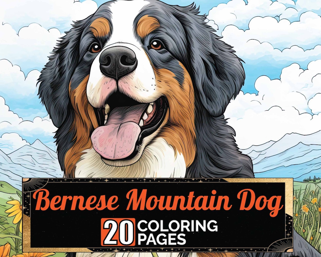 Bernese Mountain Dogs Outdoors Coloring Pages, 20 Premium Coloring Sheets, Coloring Book A4 Size ...
