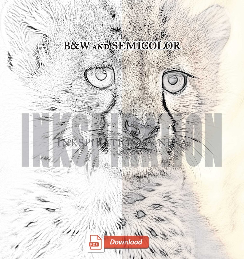 Baby Animals 15 Coloring Pages A4 Size Premium Printable - Etsy