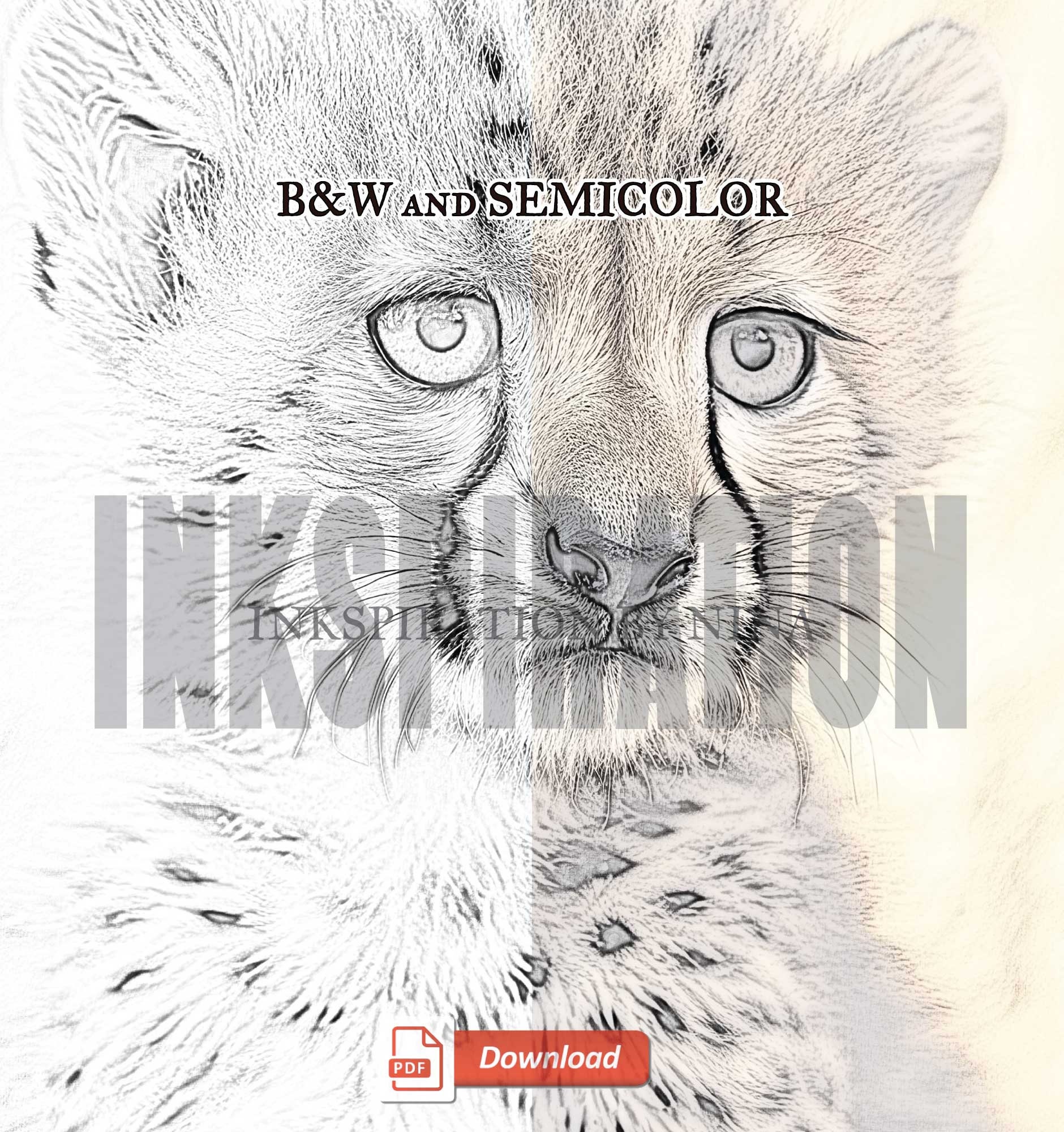 Baby Animals 15 Coloring Pages A4 Size Premium Printable Adult and ...