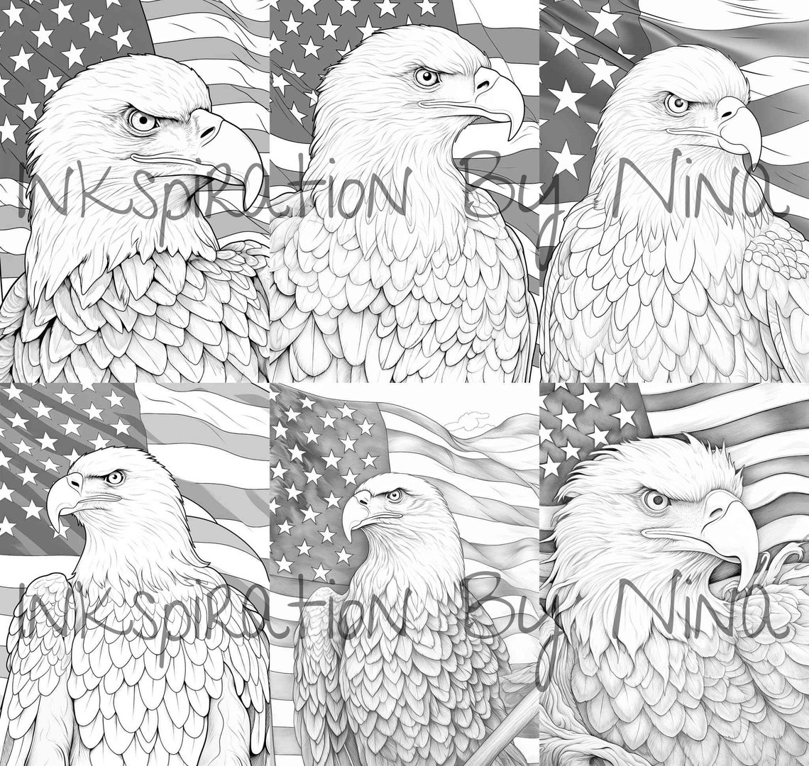 Bald American Eagle Flag Coloring Book, 24 Detail Greyscale Adult Kids ...