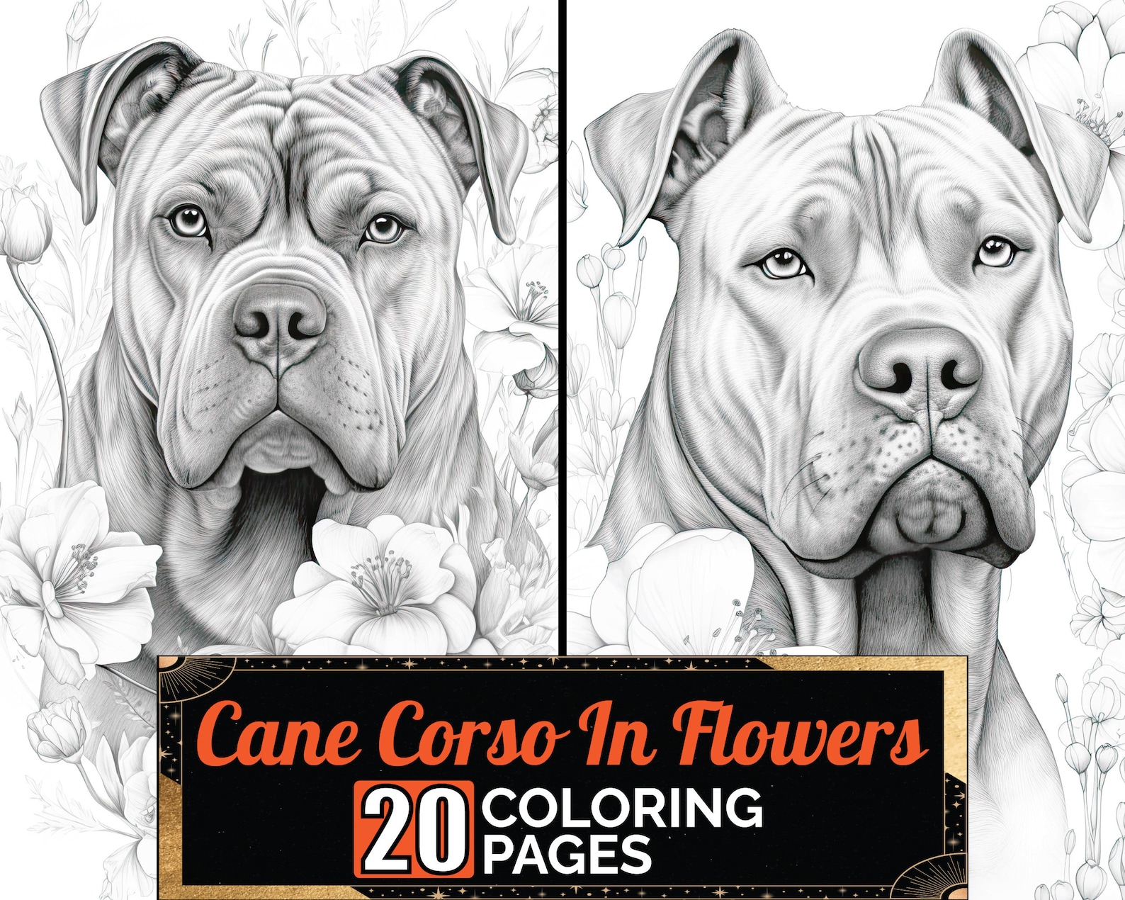 Cane Corso in Flowers Coloring Pages, 20 Premium Coloring Sheets, Adult ...