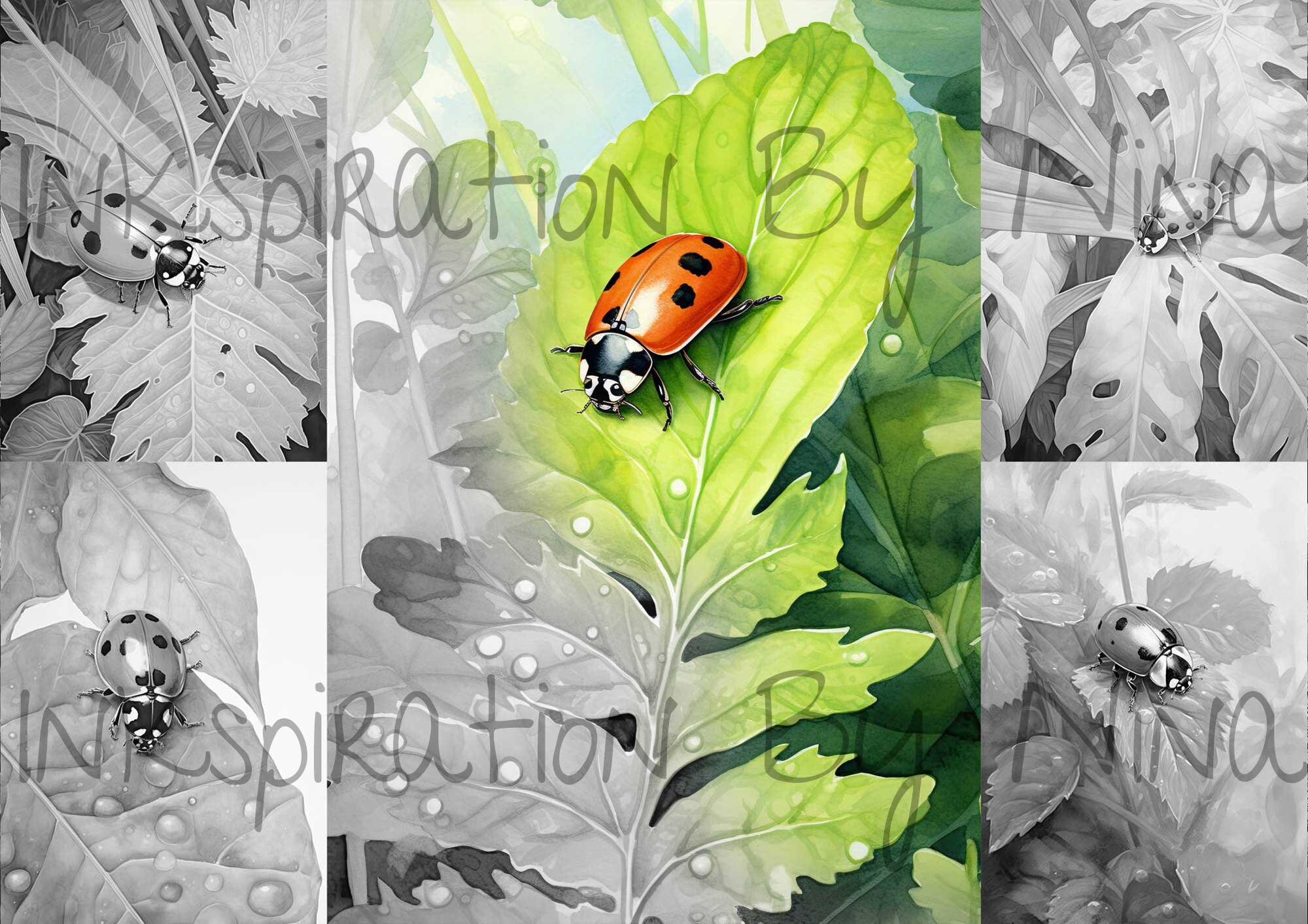 Ladybug on Leaves Coloring Pages 20 Premium Adult & Kids - Etsy