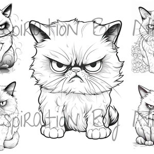 Cute Grumpy Cat Coloring Book, 30 Detail Greyscale Adult & Kids Cat ...