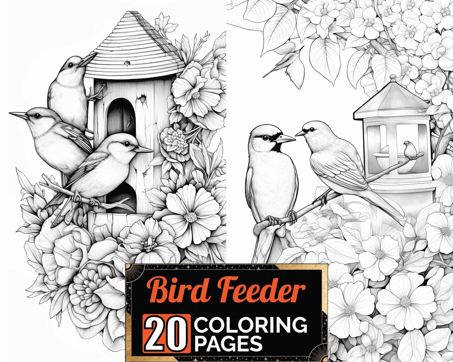 Bird Feeder Flowers Coloring Book, 20 Premium Birds Feeding Outside ...
