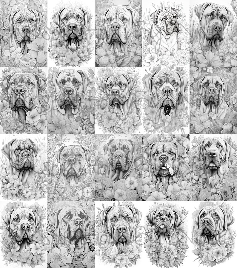 Mastiff Dog in Flowers Coloring Pages 20 Premium Coloring - Etsy