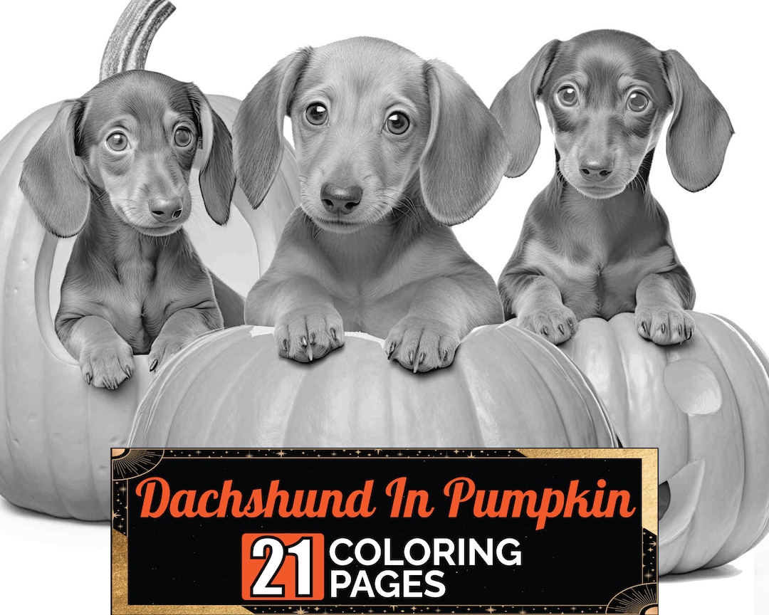 Dachshund Carved Pumpkin Coloring Book, 21 Greyscale Adult & Kids ...
