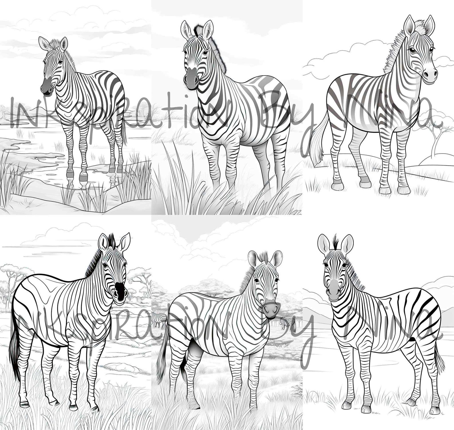 Zebra Grazing African Plains Coloring Book, 24 Detail Greyscale Adult ...