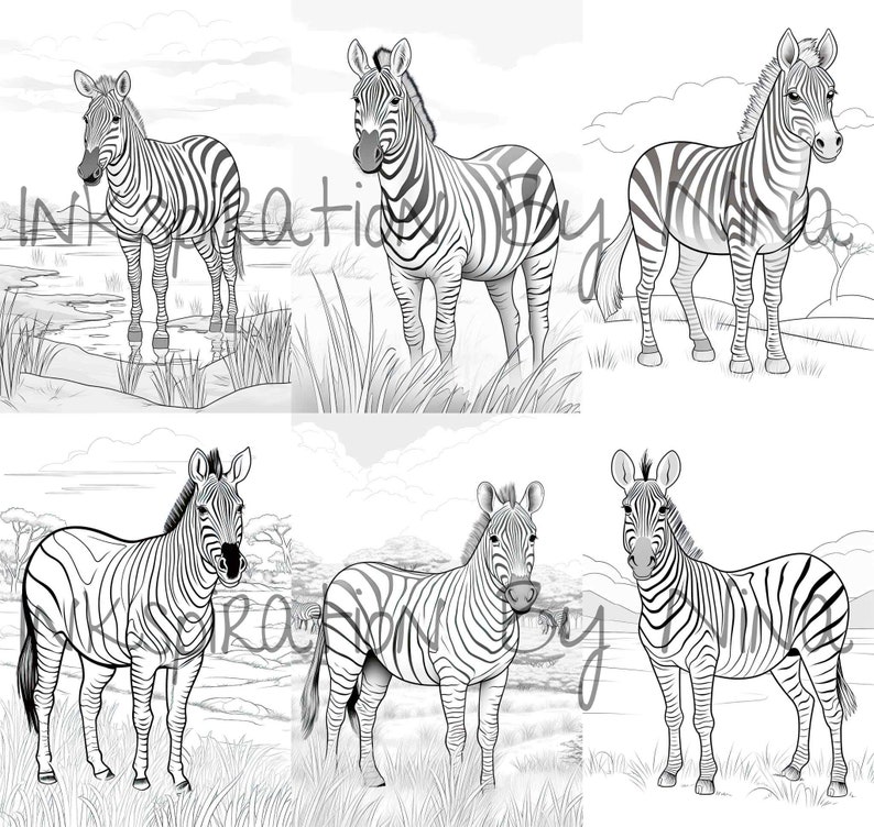 Zebra Grazing African Plains Coloring Book, 24 Detail Greyscale Adult ...