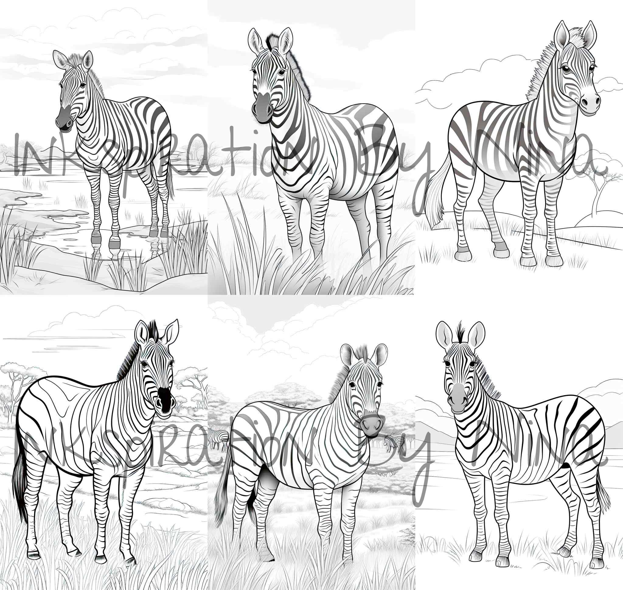 Zebra Grazing African Plains Coloring Book, 24 Detail Greyscale Adult ...
