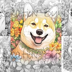 Shiba Inu Flowers Coloring Pages, 20 Premium Coloring Sheets, Coloring ...