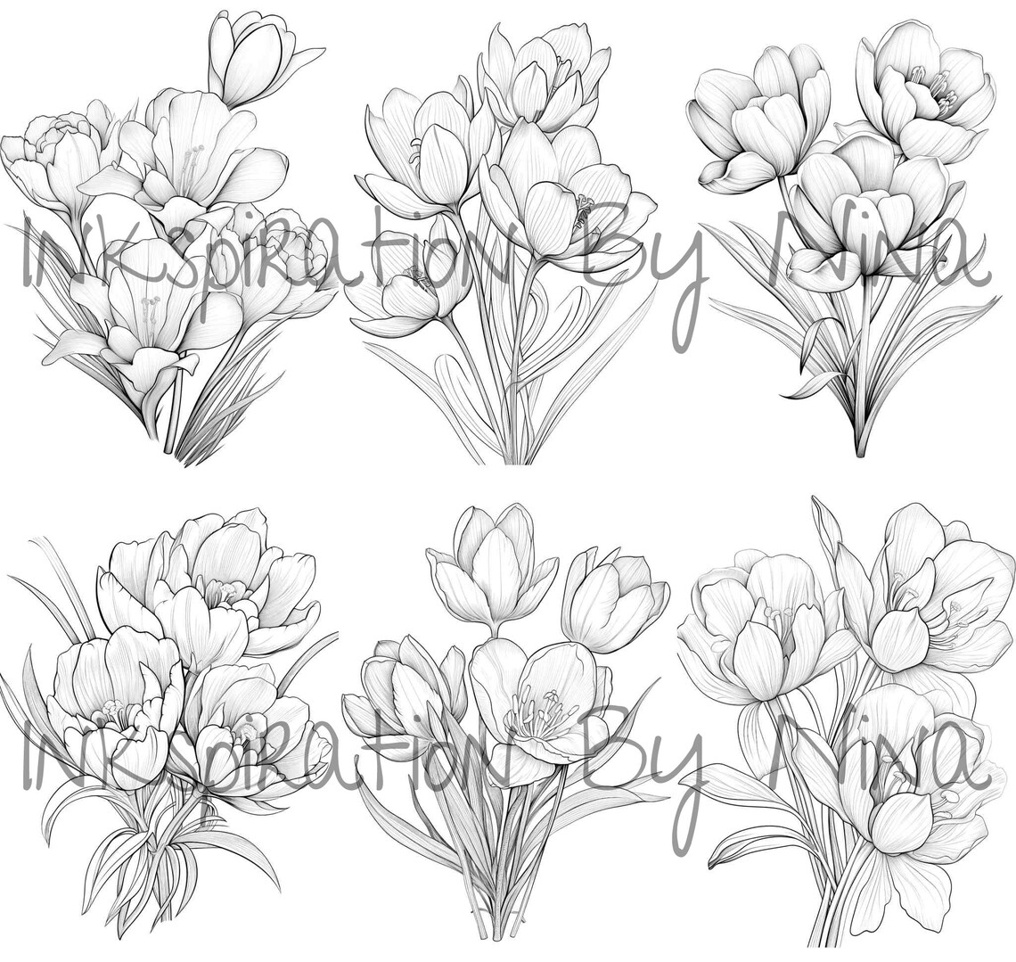 Crocus Flower Coloring Book, 30 Detailed Floral Greyscale Adult & Kids ...