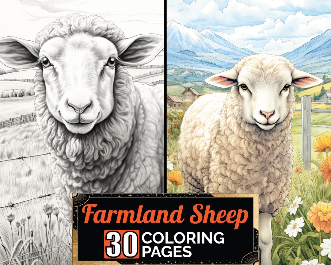 Farmland Sheep Coloring Book, 30 Detail Greyscale Adult & Kids Farm ...
