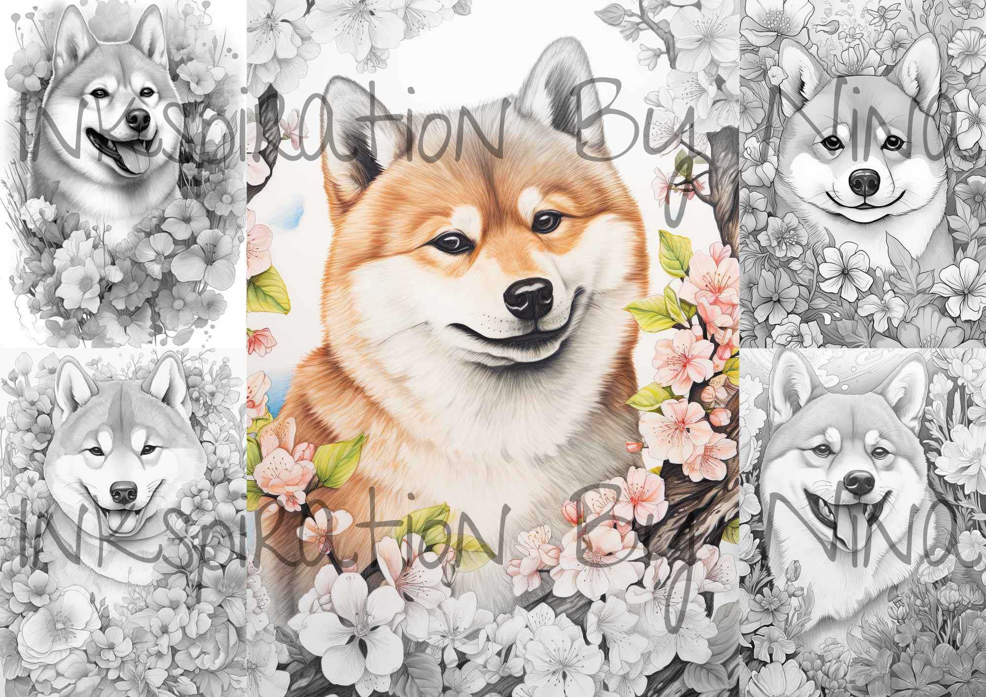 Shiba Inu Flowers Coloring Pages, 20 Premium Coloring Sheets, Coloring ...