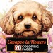 Cavapoo in Flowers Coloring Pages, 20 Premium Coloring Sheets, Coloring ...