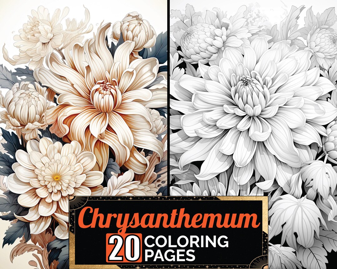 Chrysanthemum Flowers Coloring Book, 20 Detail Greyscale Adult & Kids ...