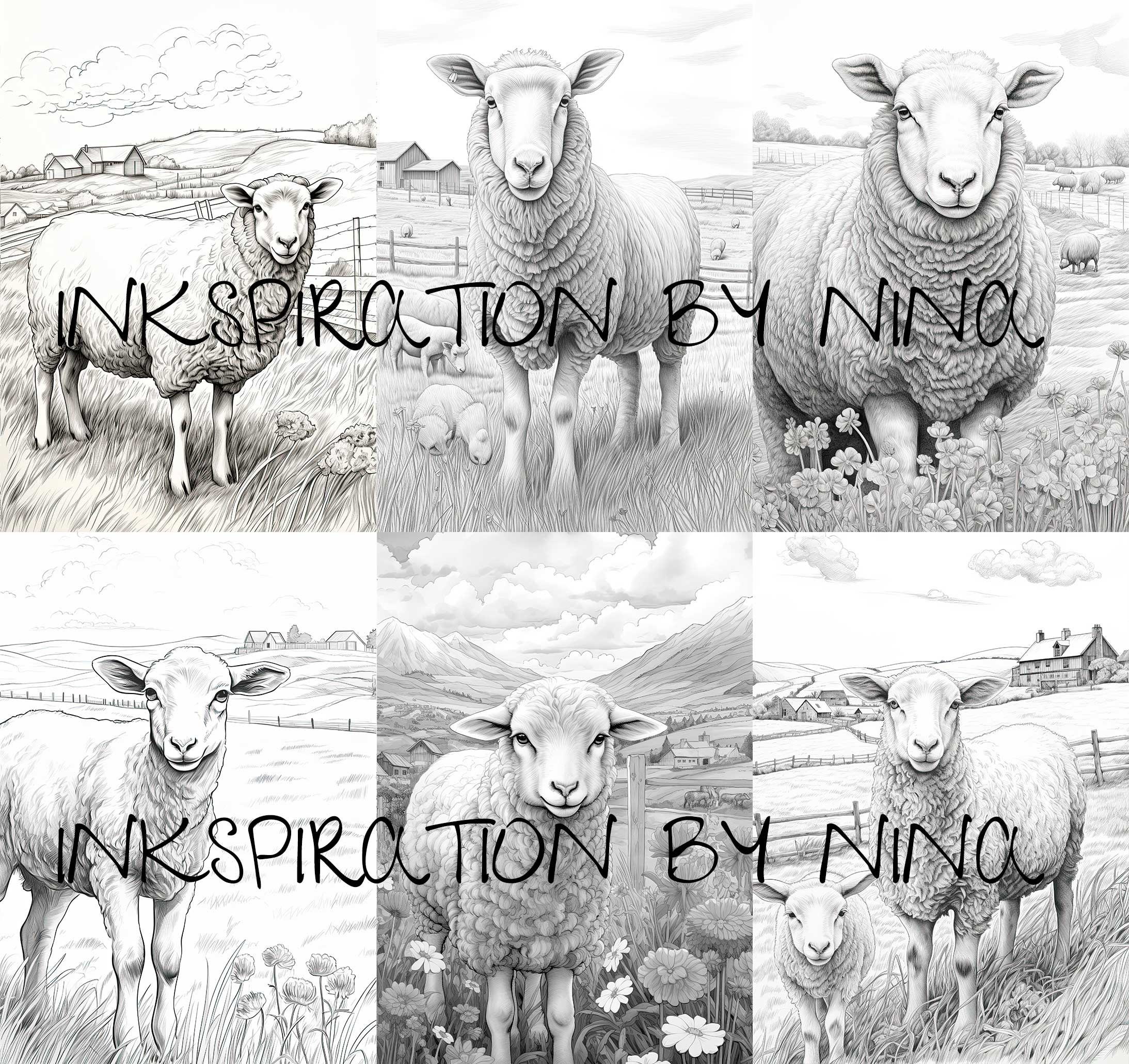 Farmland Sheep Coloring Book, 30 Detail Greyscale Adult & Kids Farm ...