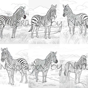 Zebra Grazing African Plains Coloring Book, 24 Detail Greyscale Adult ...