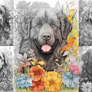 Newfoundland Dog Flowers Coloring Pages, 20 Premium Adult & Kids ...