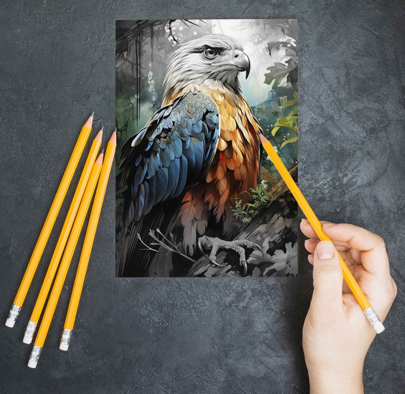 Falcon Ink Painting Coloring Pages, 20 Premium Adult Coloring Sheets ...