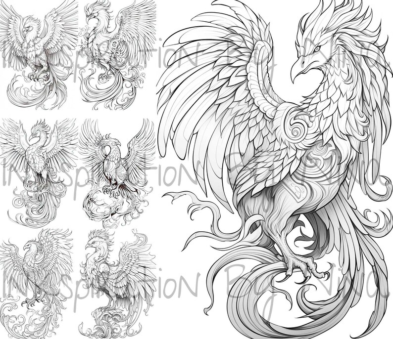 Mythical Immortal Phoenix Coloring Pages, 21 Premium Coloring Sheets ...