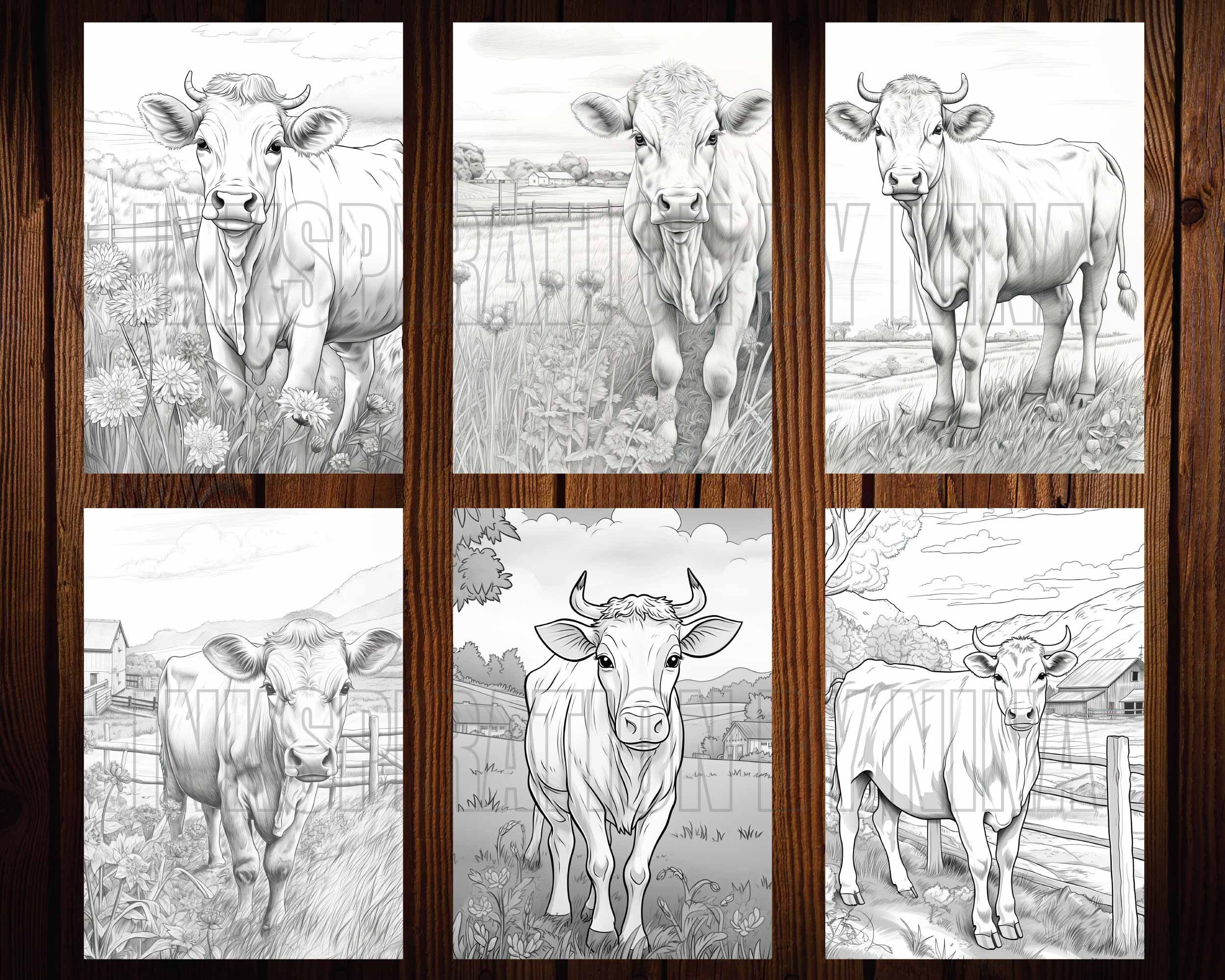Farmland Cow Coloring Book, 20 Greyscale Adult & Kids Farm Animal ...