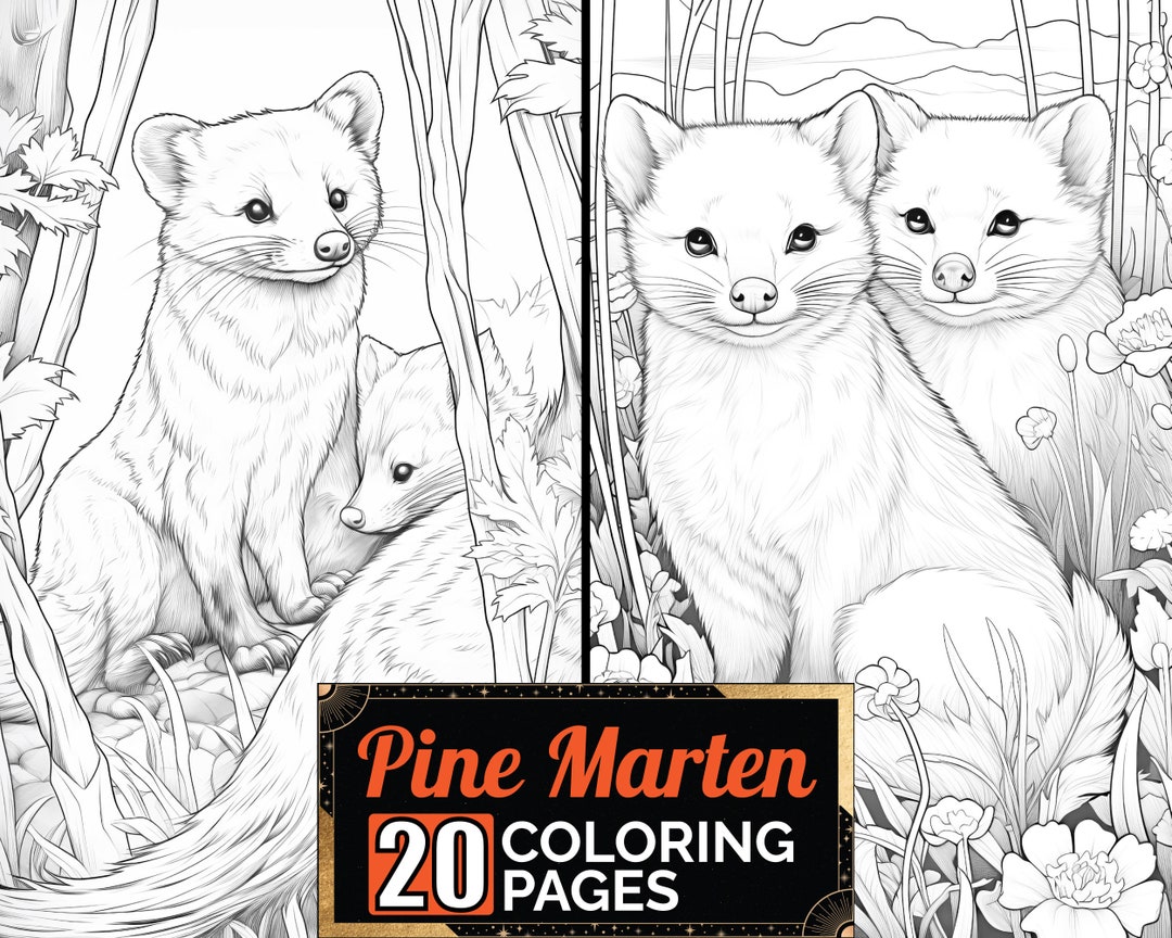 Pine Marten Hunting Coloring Book, 20 Detail Greyscale Adult & Kid ...