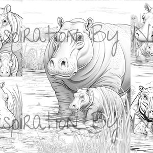 Hippopotamus Mother With Baby Coloring Book, 20 Premium Hippo Family ...