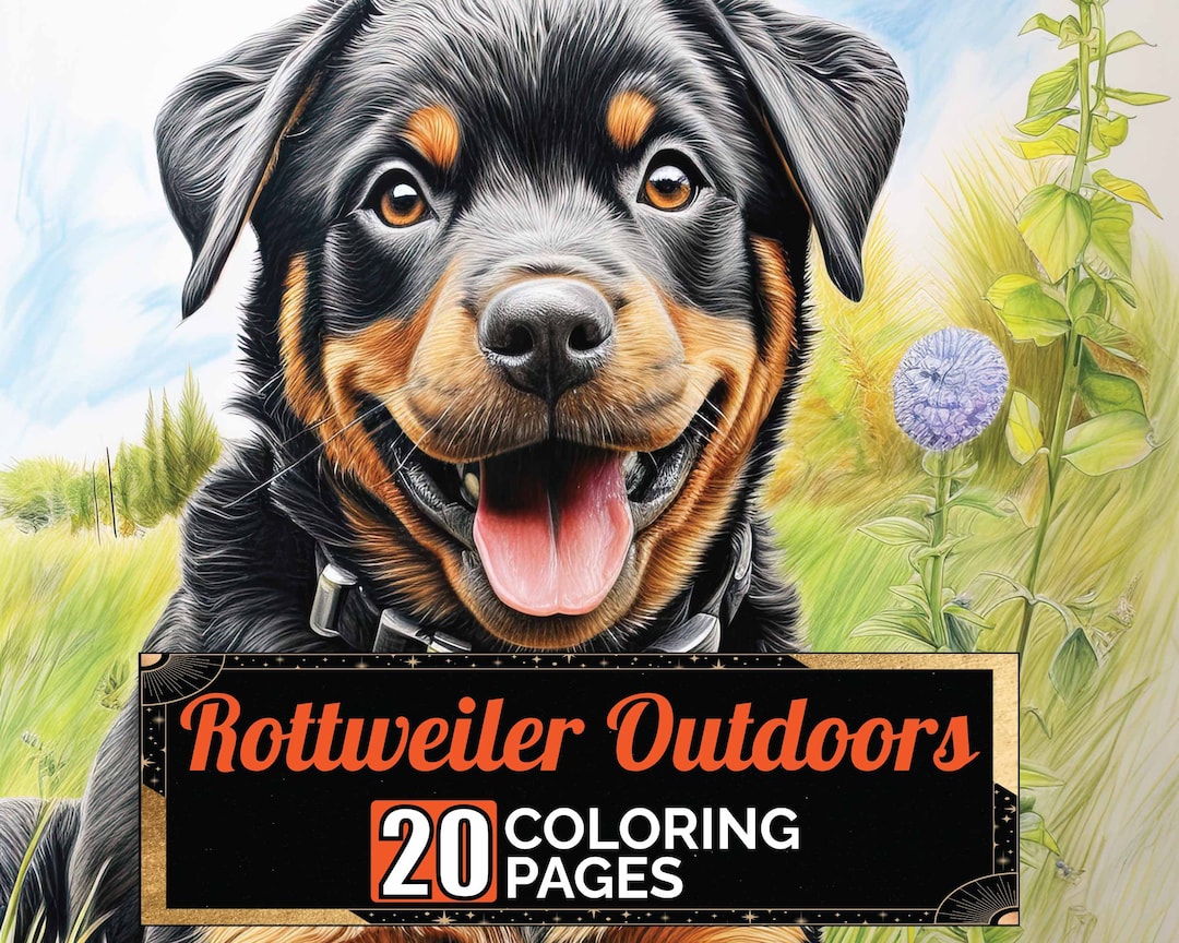 Rottweiler Outdoors Coloring Pages, 20 Premium Coloring Sheets ...