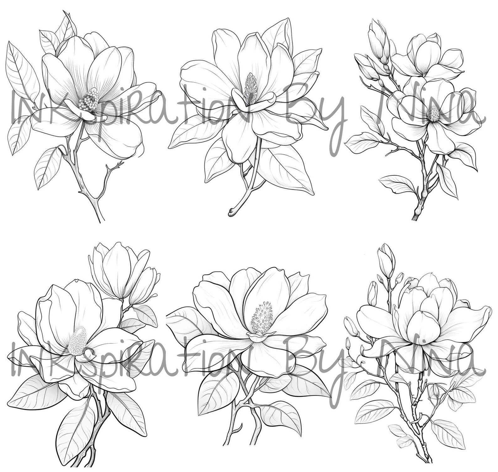 Magnolia Flower Coloring Book, 30 Detail Greyscale Adult & Kids Flower ...