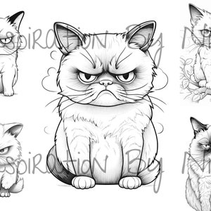 Cute Grumpy Cat Coloring Book, 30 Detail Greyscale Adult & Kids Cat ...
