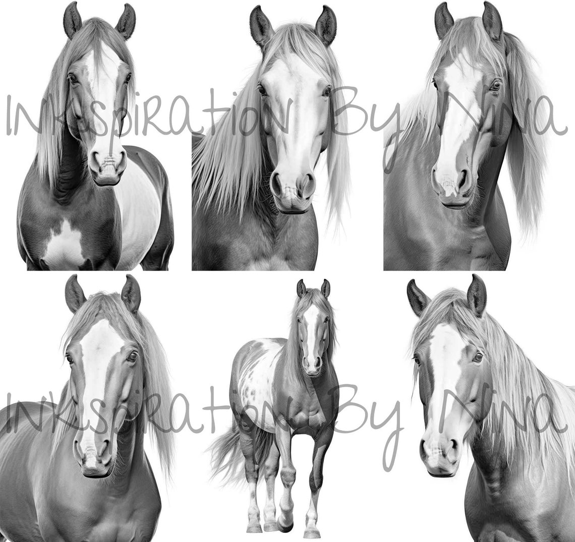 Wild Brown White Horse Coloring Pages, 24 Premium Adult Coloring Sheets ...