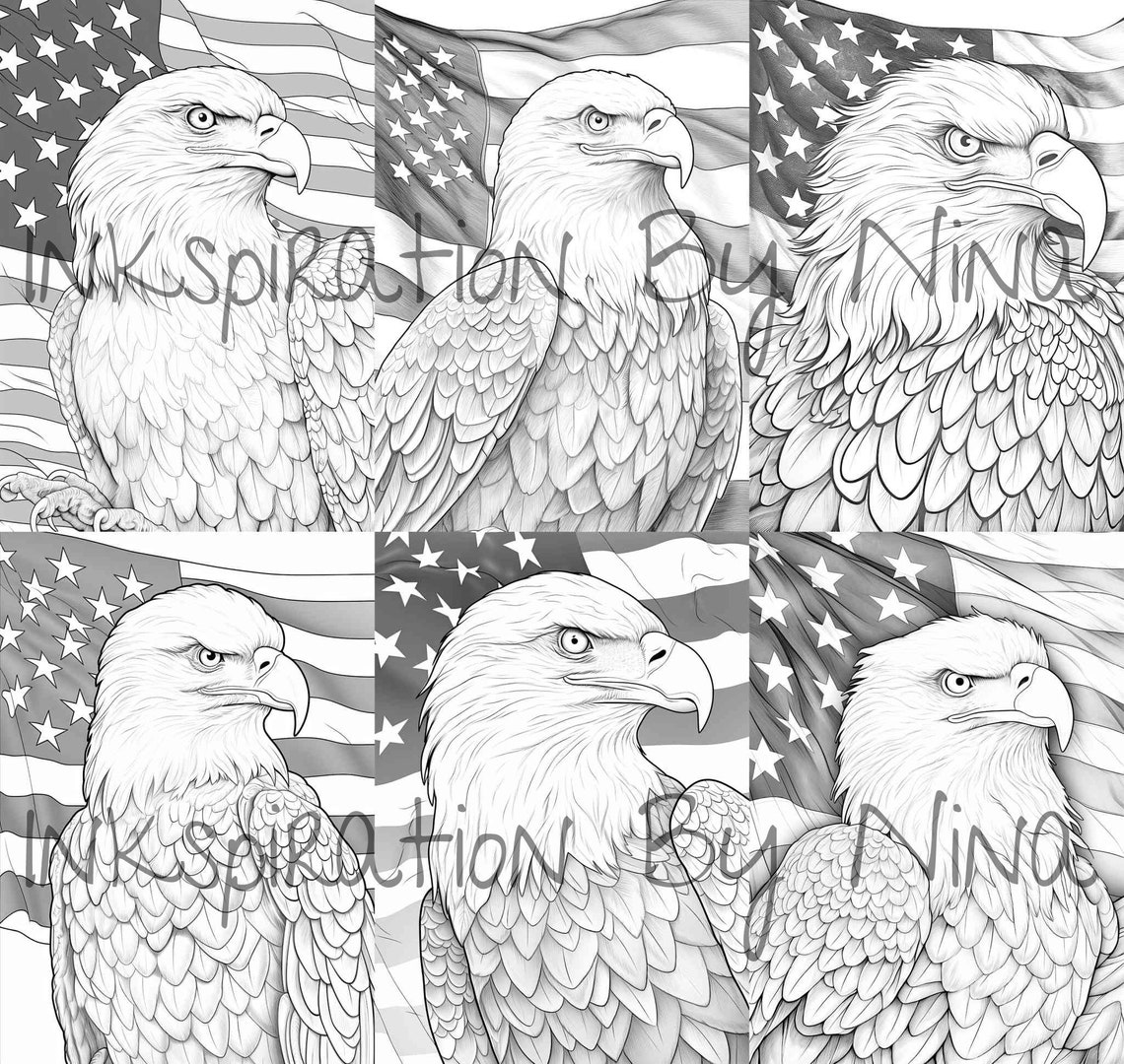 Bald American Eagle Flag Coloring Book, 24 Detail Greyscale Adult Kids ...