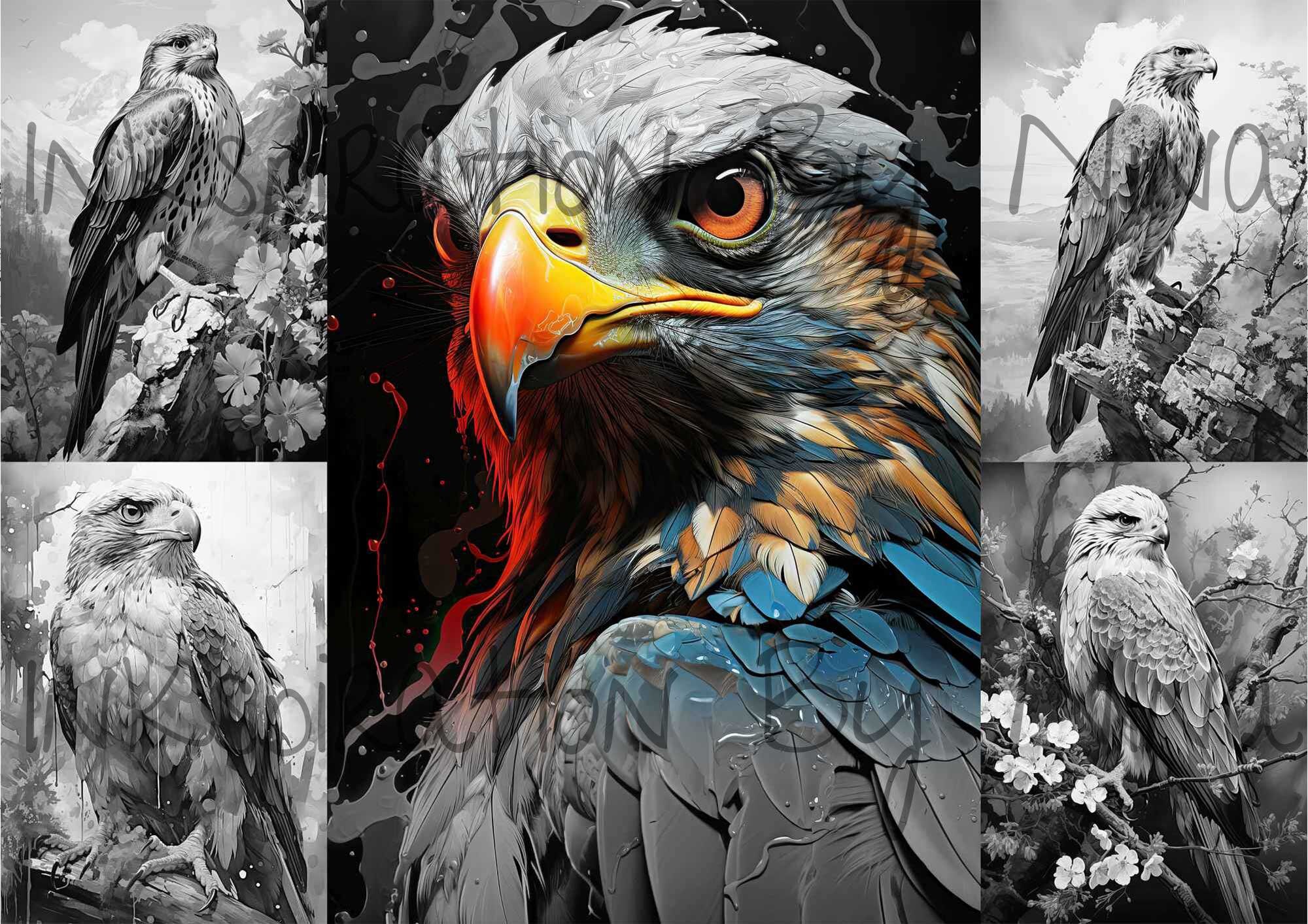 Falcon Ink Painting Coloring Pages, 20 Premium Adult Coloring Sheets ...