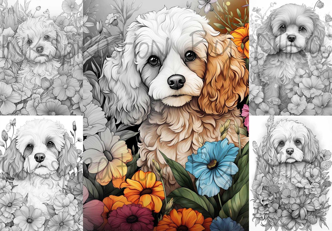 Cavapoo in Flowers Coloring Pages, 20 Premium Coloring Sheets, Coloring ...