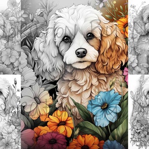 Cavapoo in Flowers Coloring Pages, 20 Premium Coloring Sheets, Coloring ...