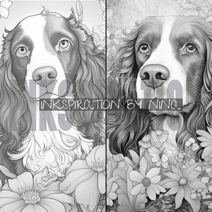 English Springer Spaniel Coloring Pages, 20 Premium Dog in Flowers ...