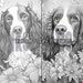 English Springer Spaniel Coloring Pages, 20 Premium Dog in Flowers ...