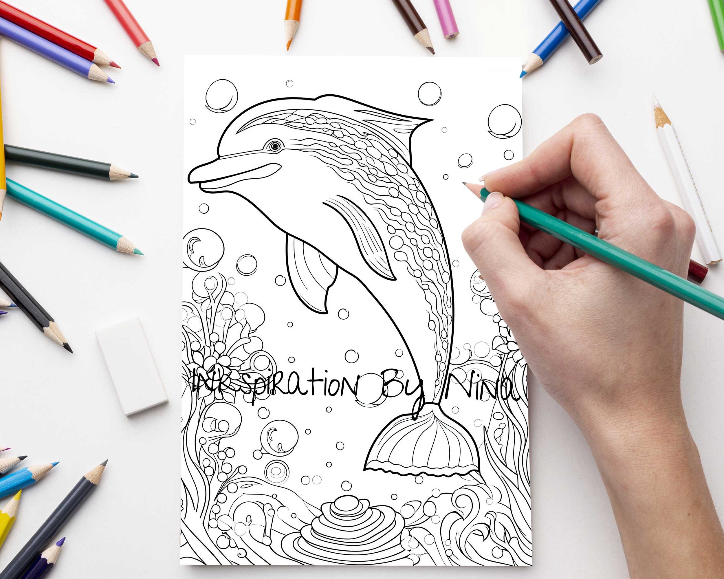Baby Dolphins Coloring Pages 26 Premium Adult & Kid Coloring - Etsy