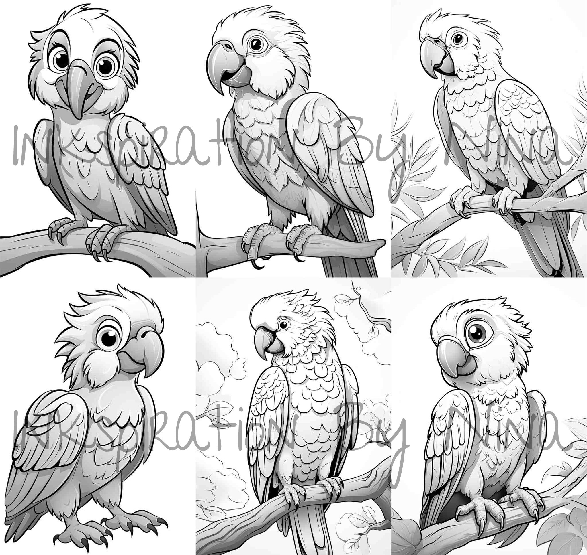 Adorable Parrot Coloring Book, 24 Detail Greyscale Adult & Kids Bird ...