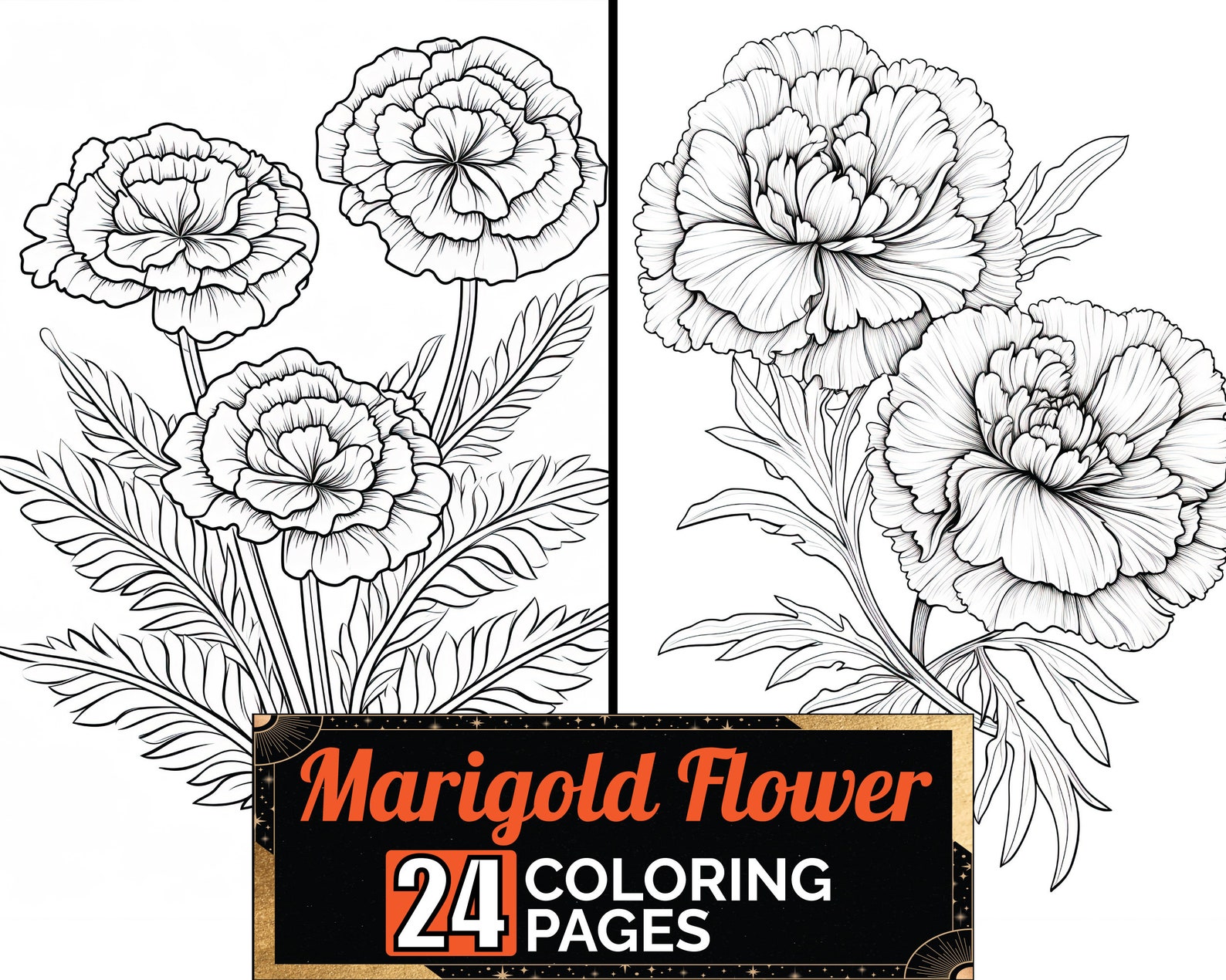 Marigold Flower Coloring Book, 24 Detail Floral Greyscale Adult & Kids ...