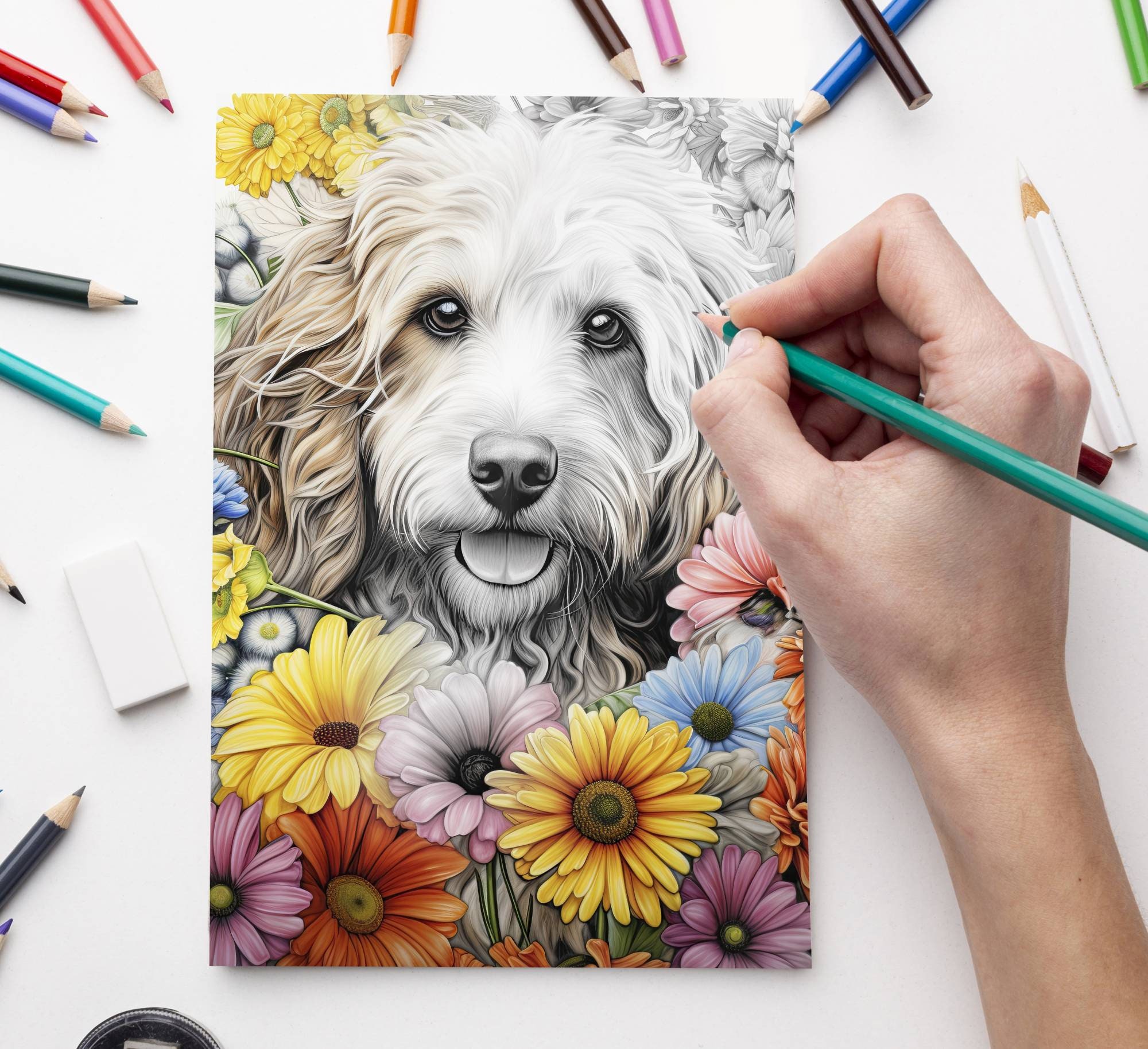 Labradoodle Dog in Flowers Coloring Pages, 20 Premium Adult & Kids ...