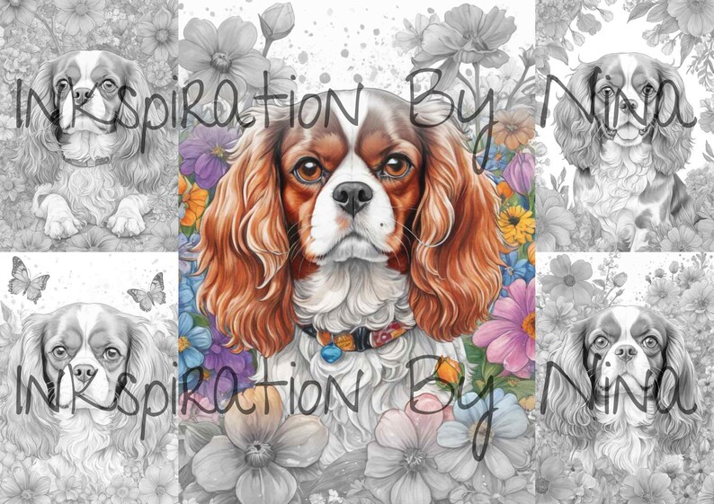Cavalier King Charles Spaniel Outdoors Coloring Book, 45 Detail ...