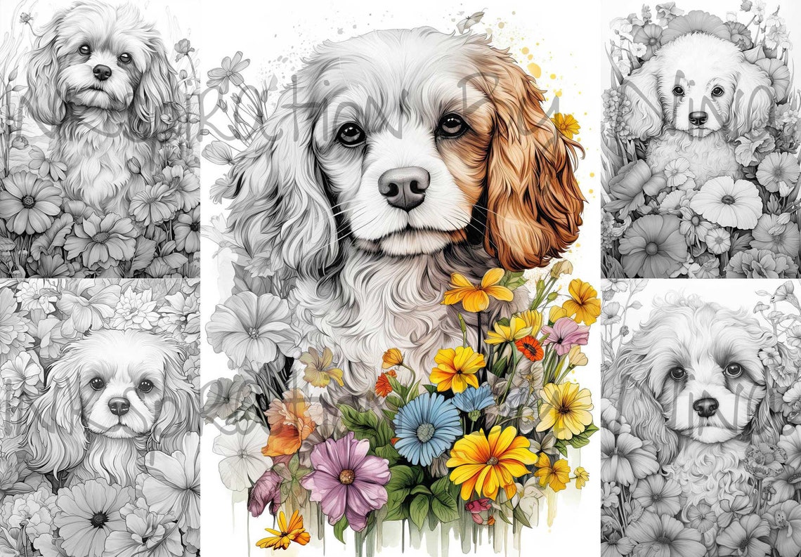 Cavapoo in Flowers Coloring Pages, 20 Premium Coloring Sheets, Coloring ...