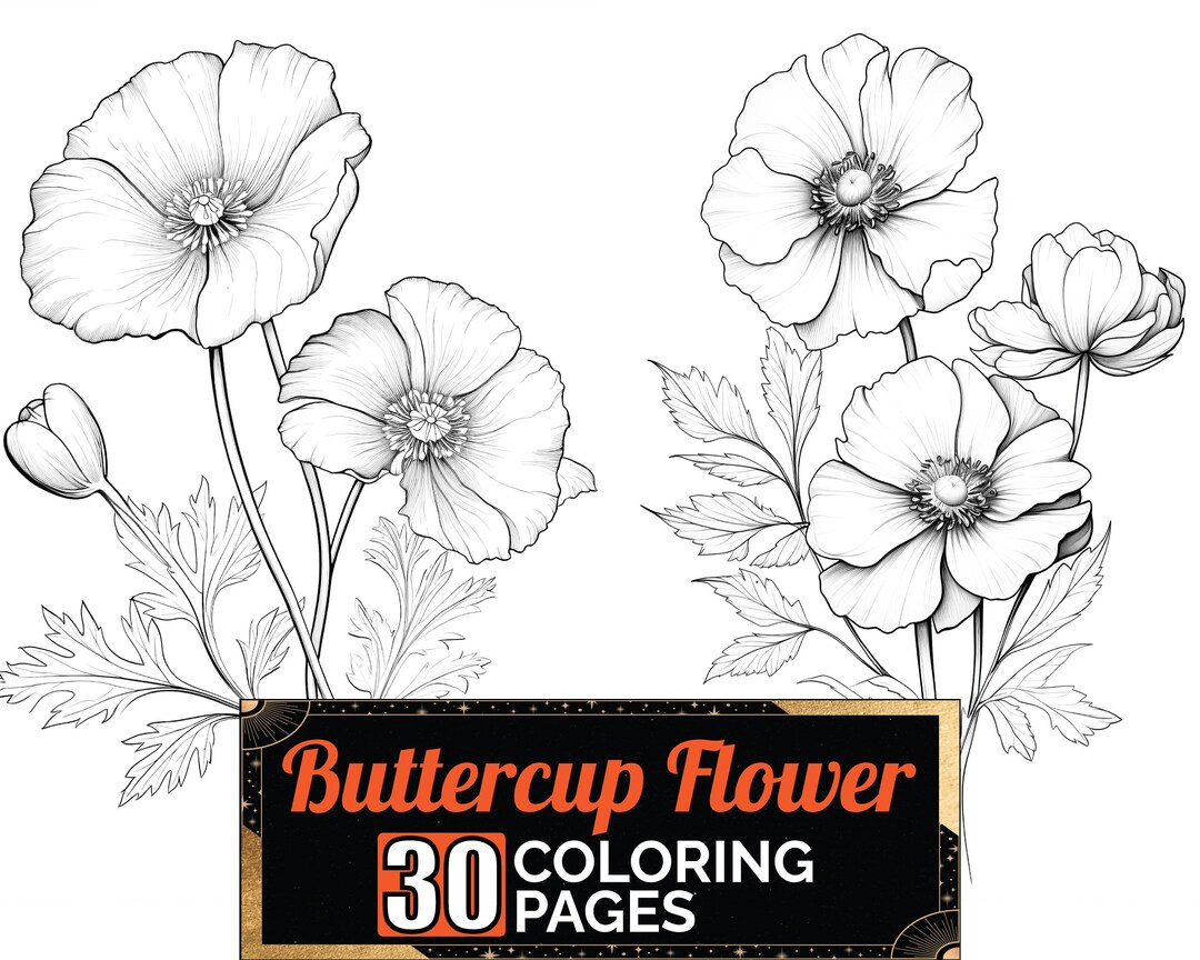 Buttercup Flower Coloring Book, 30 Detail Greyscale Adult & Kids Flower ...