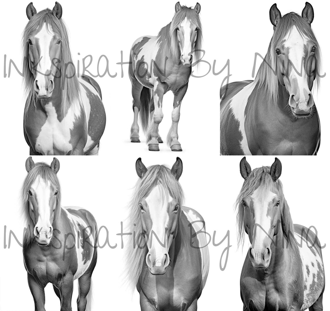 Wild Brown White Horse Coloring Pages, 24 Premium Adult Coloring Sheets ...