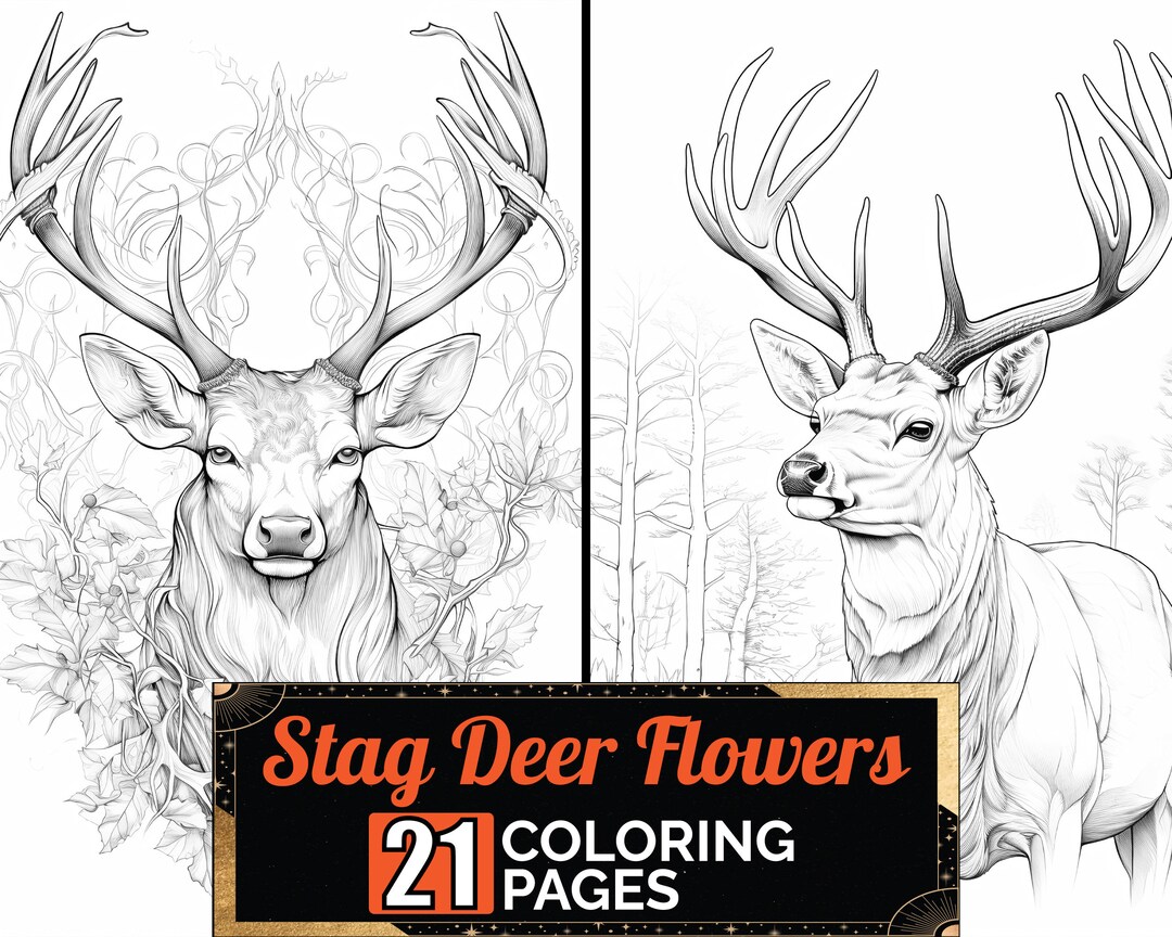 Stag Deer in Flowers Coloring Book, 32 Detail Greyscale Adult & Kids ...