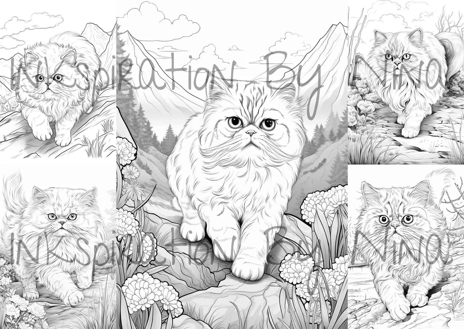 Persian Cat Running Coloring Book 20 Detail Greyscale Adult & - Etsy