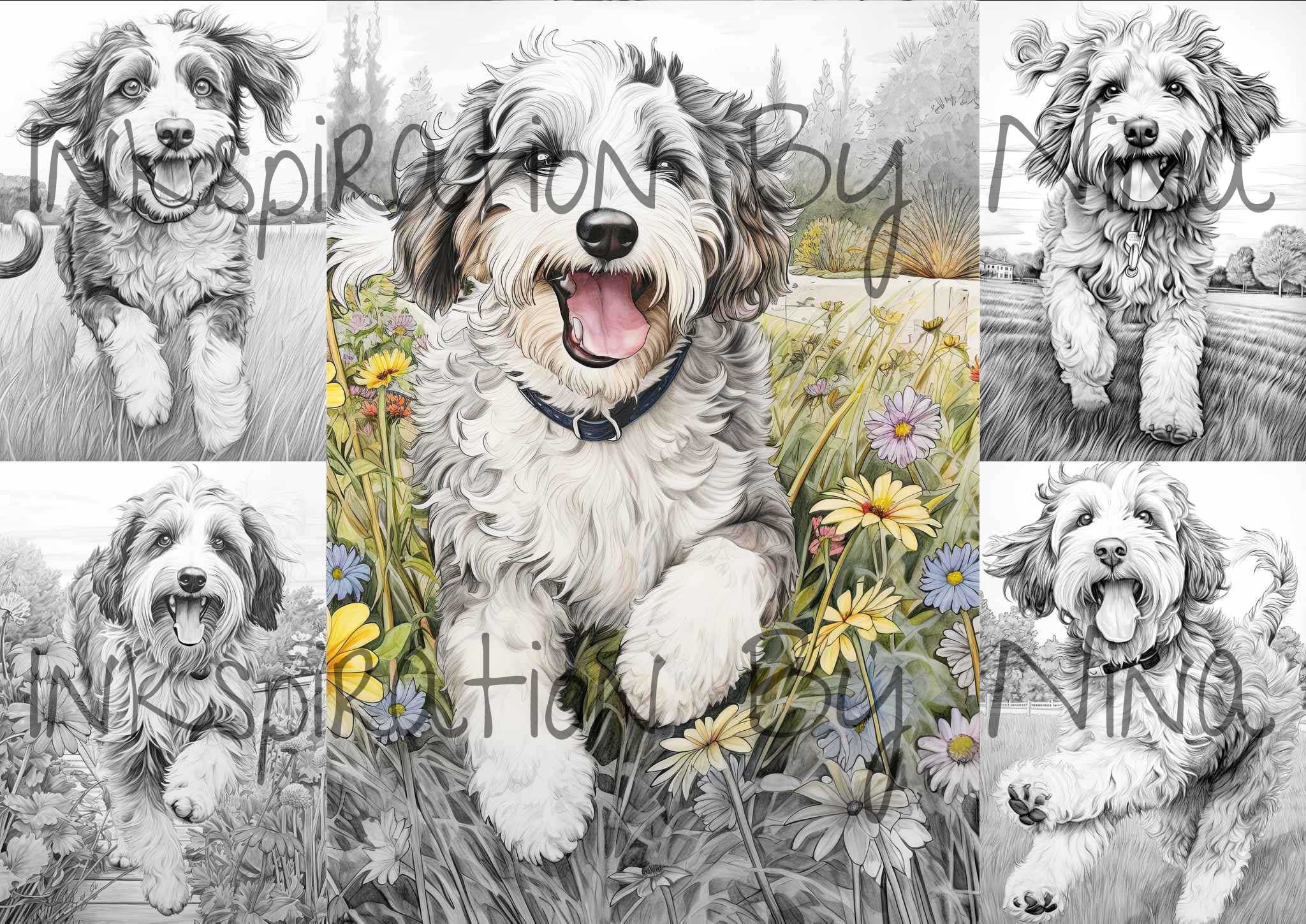 Aussiedoodle Enjoying Outside Coloring Pages, 20 Premium Dog Meadow ...