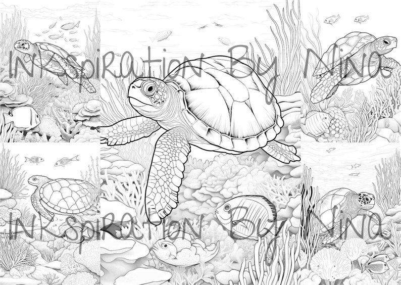 Coral Reef Swimming Turtle Coloring Book, 20 Detail Greyscale Adult ...